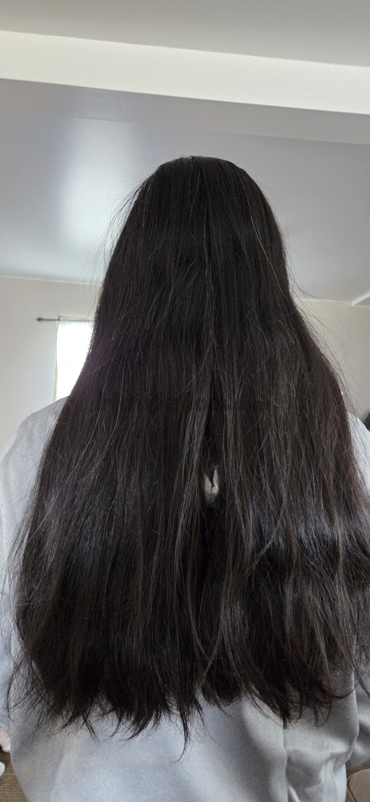 Mild Curl Dark Asian Indian Virgin Hair 12" - HairSellon
