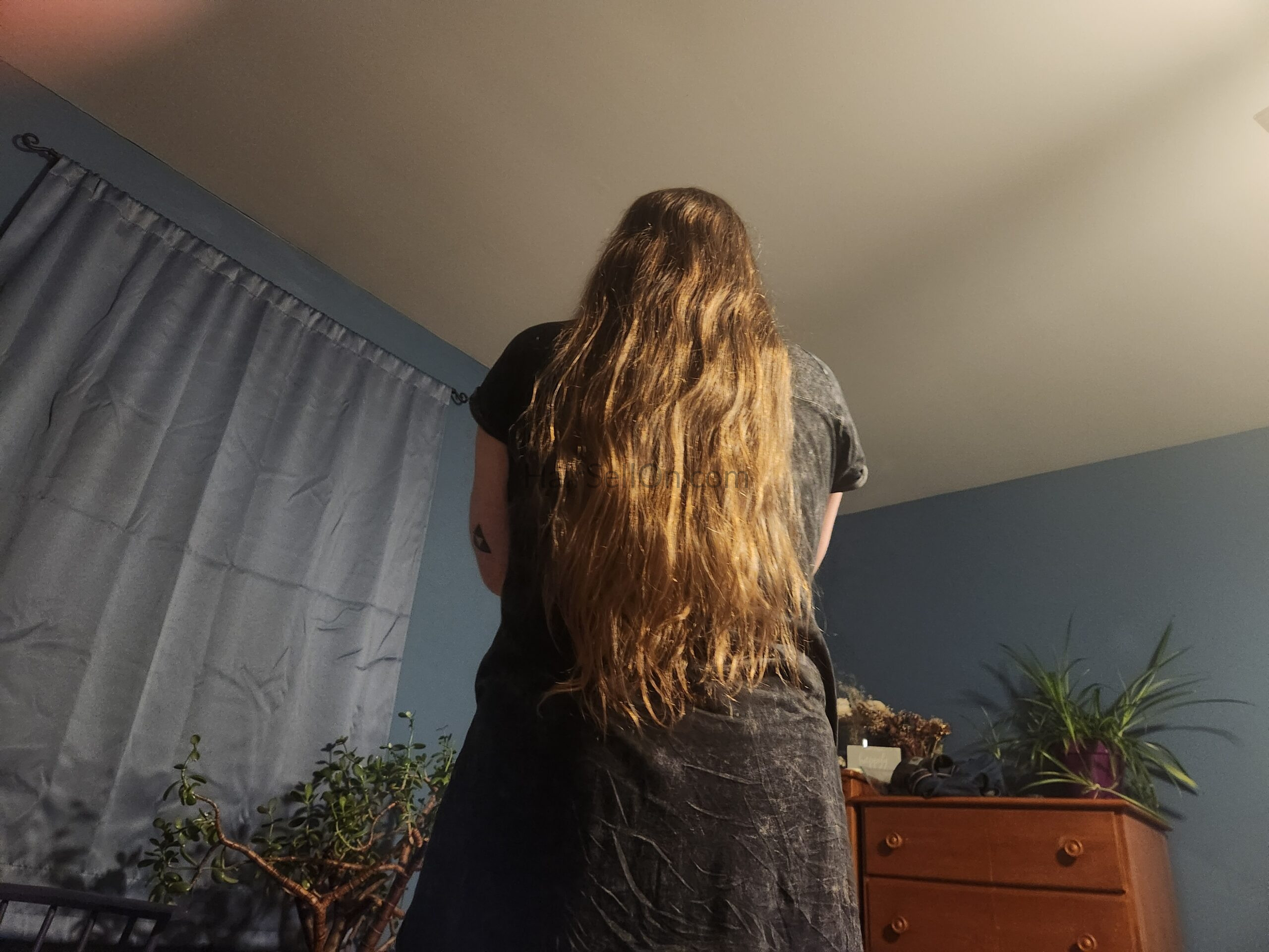 Brunette, undyed, 10-15in - HairSellon